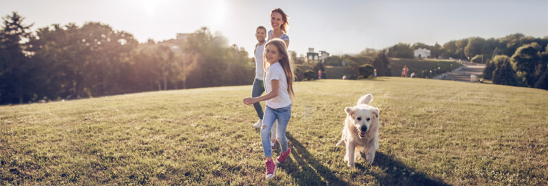 Connected Health+ - Microlife AG